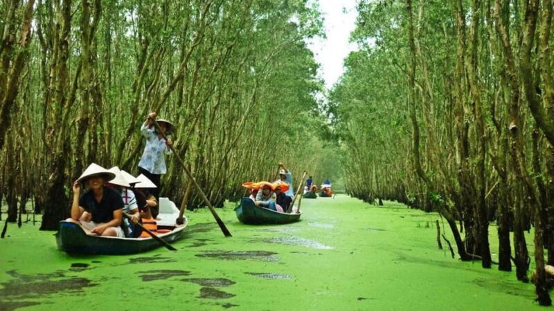 MeKong Delta Tour 1 Day - Who Will Love This Tour?