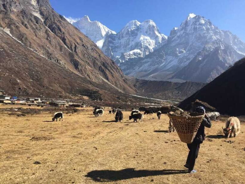 Mera peak trek - What Travelers Say