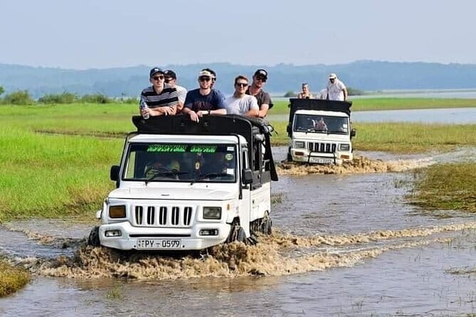 Minneriya National Park Private Safari Tour - FAQ: Practical Questions Answered