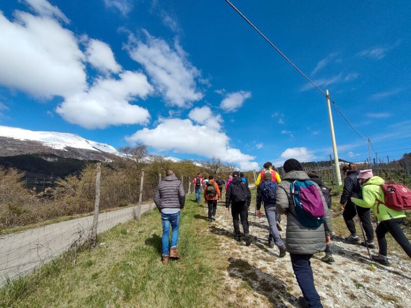 Monte Baldo: Organic Mountain Wines Tour and Tasting - Who Should Book This Experience?