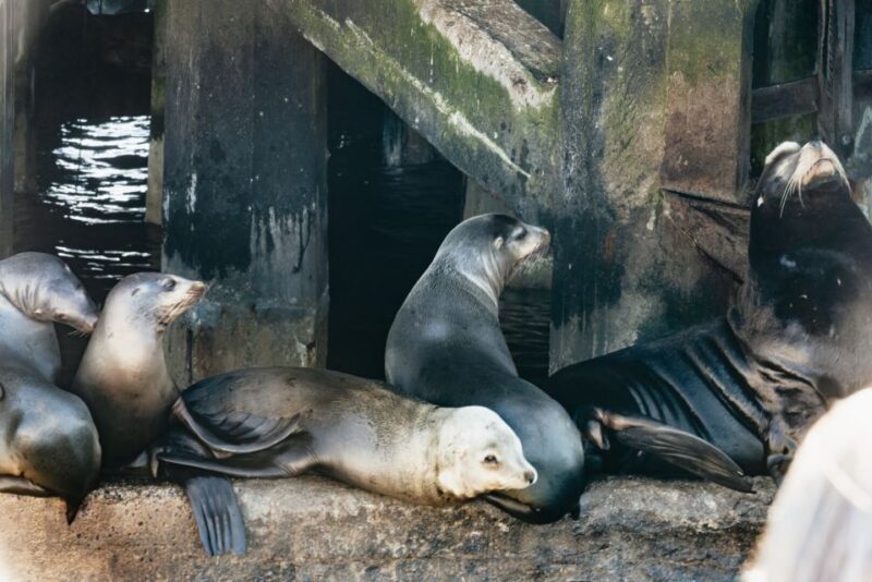 Monterey Bay: Whale Watching Tour - FAQ