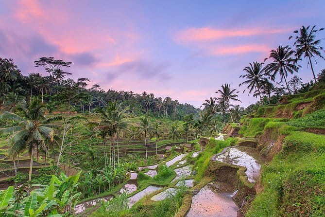 Mount Batur Jeep Tour - Practical Details and Tips