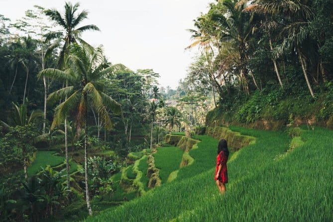 Mount Batur Sunrise Hike and Hot Spring Tour All inclusive - FAQ