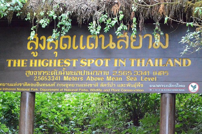 Mount Doi Inthanon Hiking & Bird Watching - The Practical Side: Is It Worth the Price?