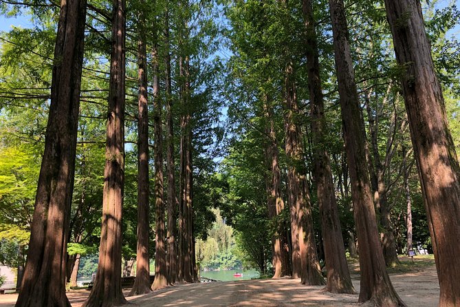 Mt. Seorak+Nami Island+Garden of Morning Calm Day Trip from Seoul - Who Will Love This Tour?