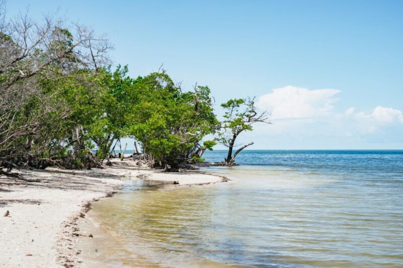 Naples, FL: Manatee, Dolphin, 10,000 Islands Beach Eco Tour - Final Thoughts