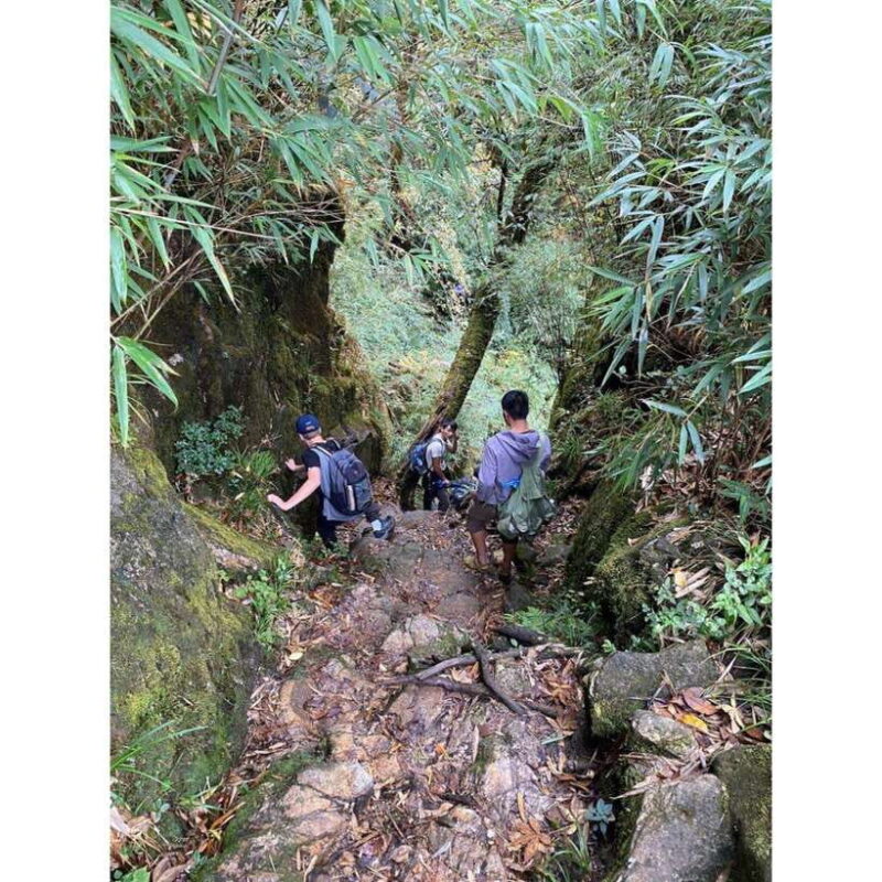 Natural. The 1D Fansipan peak .HmongSisterHouse&Trekking - How Does the Price of $103 Stack Up?