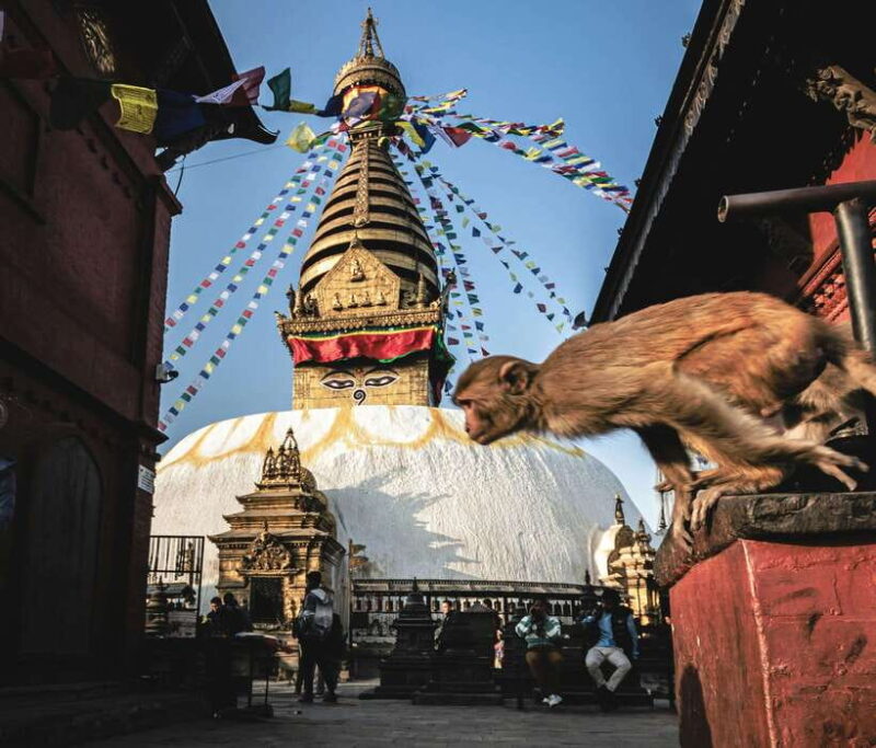 Nepal and Bhutan: 14-Day Tour with Flights - Final Thoughts