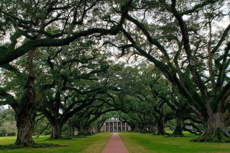 New Orleans: Oak Alley & Laura Plantation Tour w/Transport - Authentic Experiences and Guided Insights