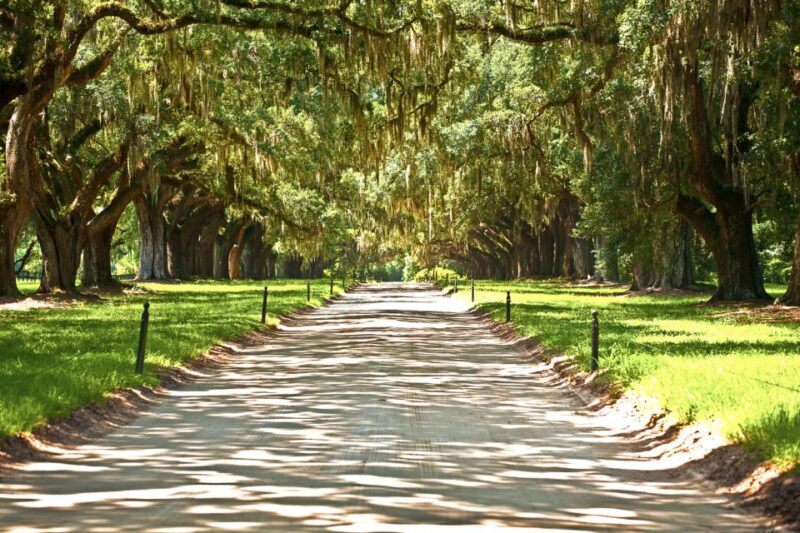 New Orleans: Single Plantation and Pontoon Swamp Day Trip - Final Thoughts