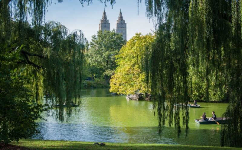 New York: Carriage Ride in Central Park - Is This Experience Right for You?