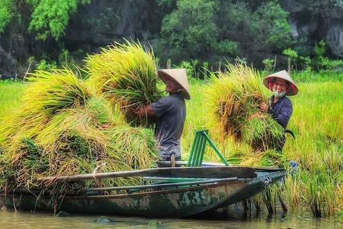 Ninh Binh Full-Day Tour Hoa Lu Tam Coc Cycling, Boat,Buffet Lunch - Who Is This Tour Best For?