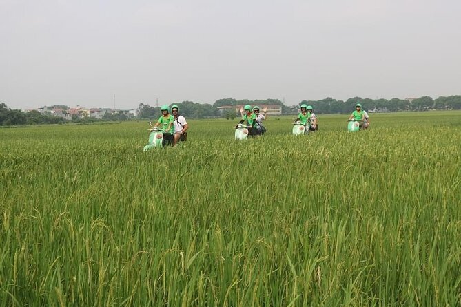 Ninh Binh Vespa Start from Hanoi + Boat + Villages +Rice Paddies - Scenic Highlights and Unique Encounters