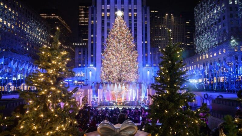 NYC: Private Dyker Heights and NYC Holiday Lights Tour - Cost and Value