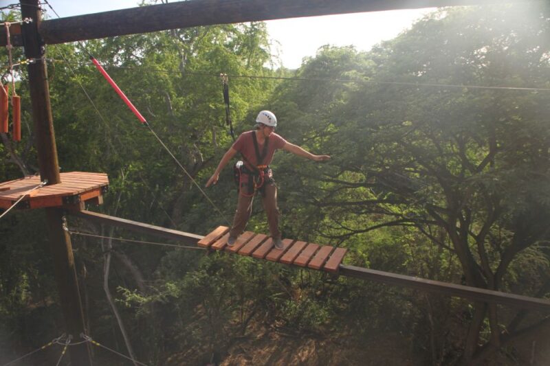 Oahu: Coral Crater Aerial Challenge Course - Why It’s Good Value