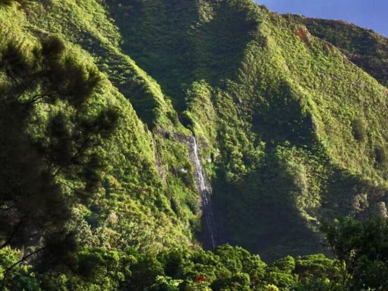 Oahu: Custom Private Island Tour of O'ahu - Frequently Asked Questions