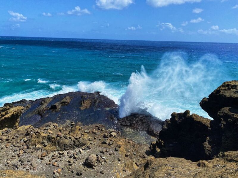 Oahu: North Shore Experience and Dole Plantation - Who Should Consider This Tour?