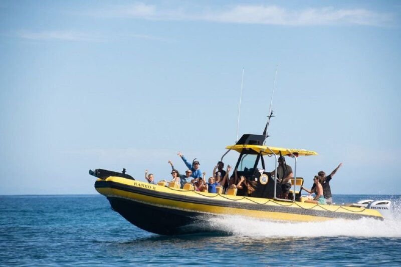Oahu: North Shore Marine Life Tour from Haleiwa - Who Should Consider This Tour?