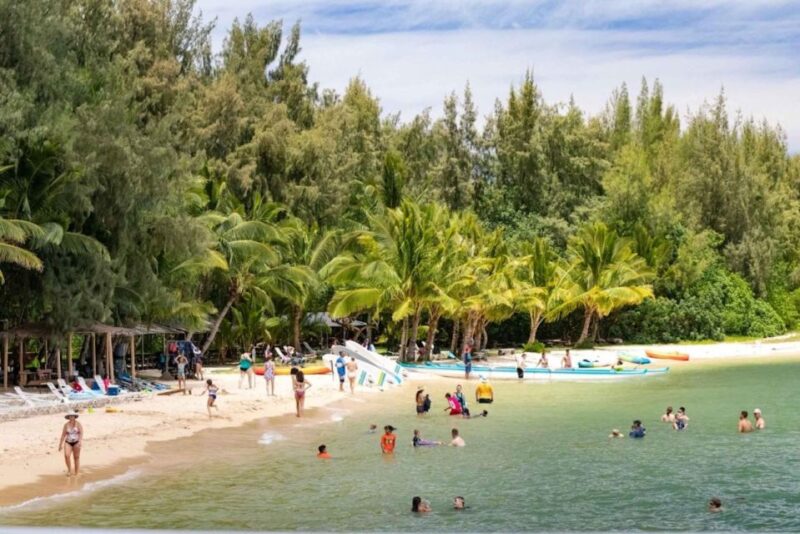 Oahu: Secret Beach Circle Island Adventure - Who This Tour Is Perfect For