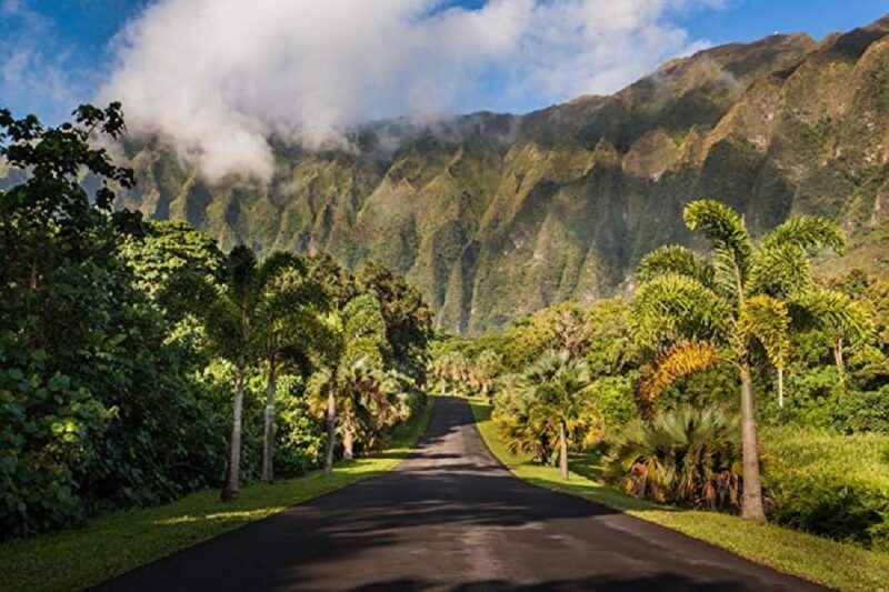Oahu Top 13 Things to See Slingshot Aloha Tour - Frequently Asked Questions