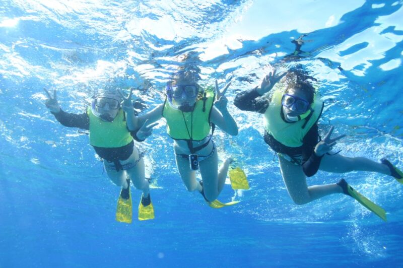 Oahu: Turtle Canyon Snorkeling & Hula Dance - The Return and Practical Details