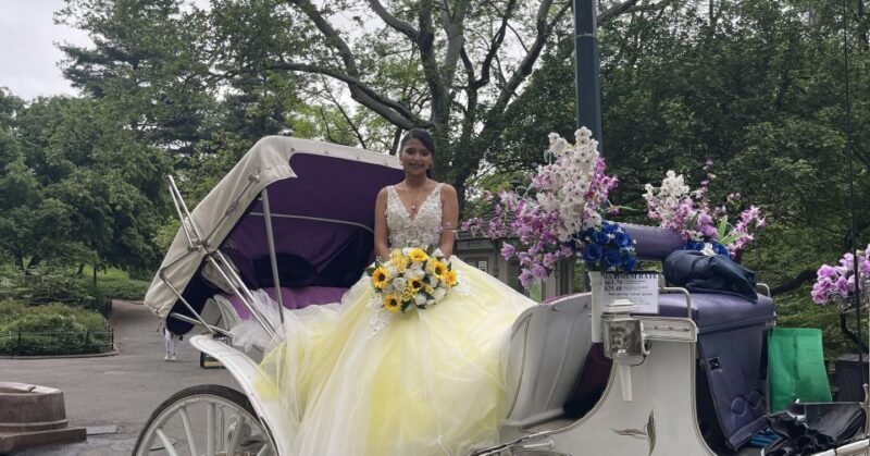 Official Exclusive VIP Horse Carriage Ride in Central Park - Who Will Love This Experience?