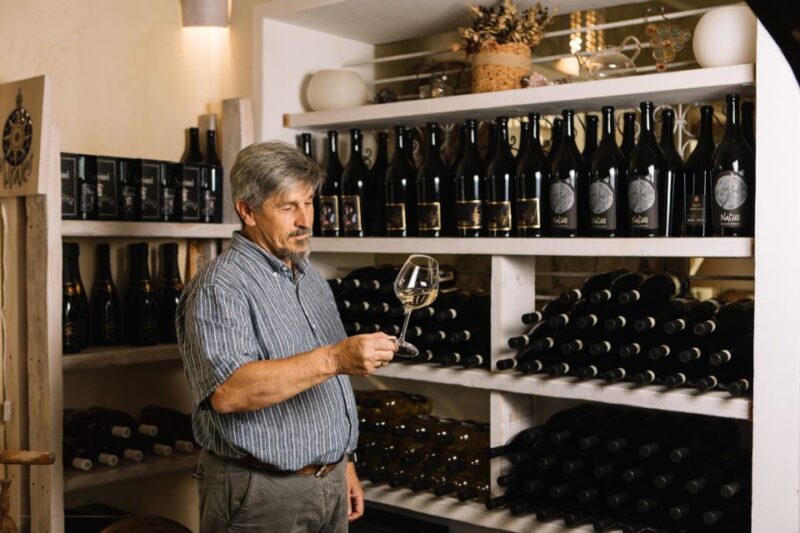 Olbia: Gallura Winery Guided Tour with Tasting - Who Will Love This Tour?