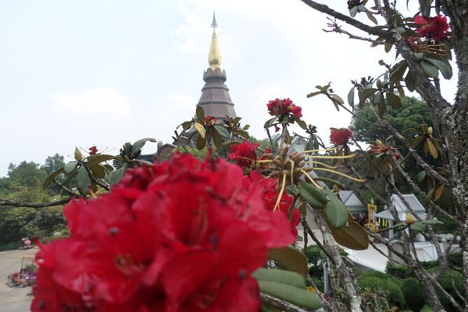 One day tour Doi Inthanon National Park and Trekking on Kew Mae Pan Trail - Cultural and Local Flavor: Hmong Hill Tribe Market