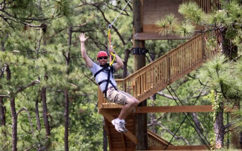 Orlando: Gatorland Zipline Adventure w/ Full-Day Park Access - Summary of the Experience