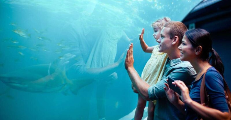 Orlando: SEA LIFE Orlando Aquarium - Accessibility and Practical Tips