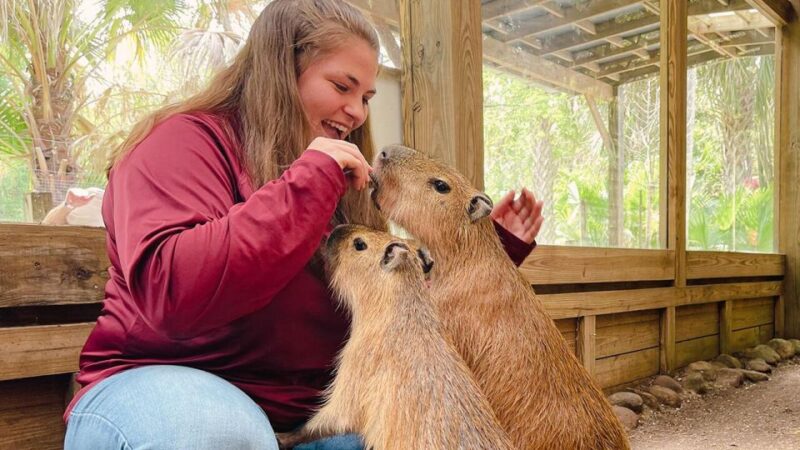 Orlando: Wild Florida Park Ticket and Gator Shows - FAQs