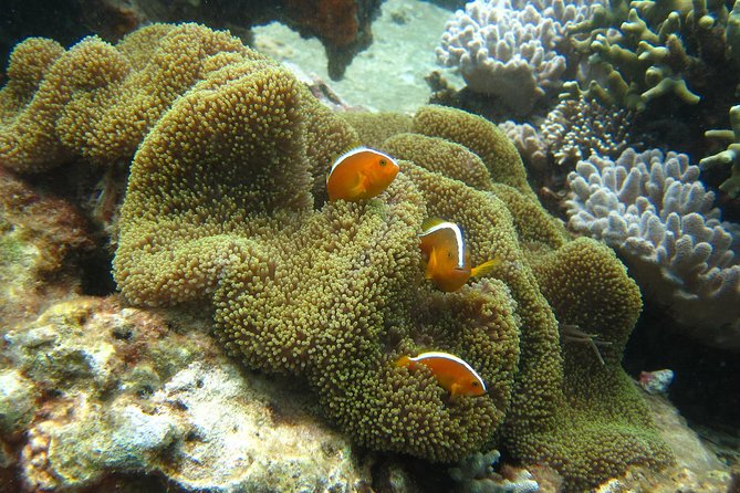 PADI Discover Scuba Diving - introduction program for beginners - Practical Tips for Participants