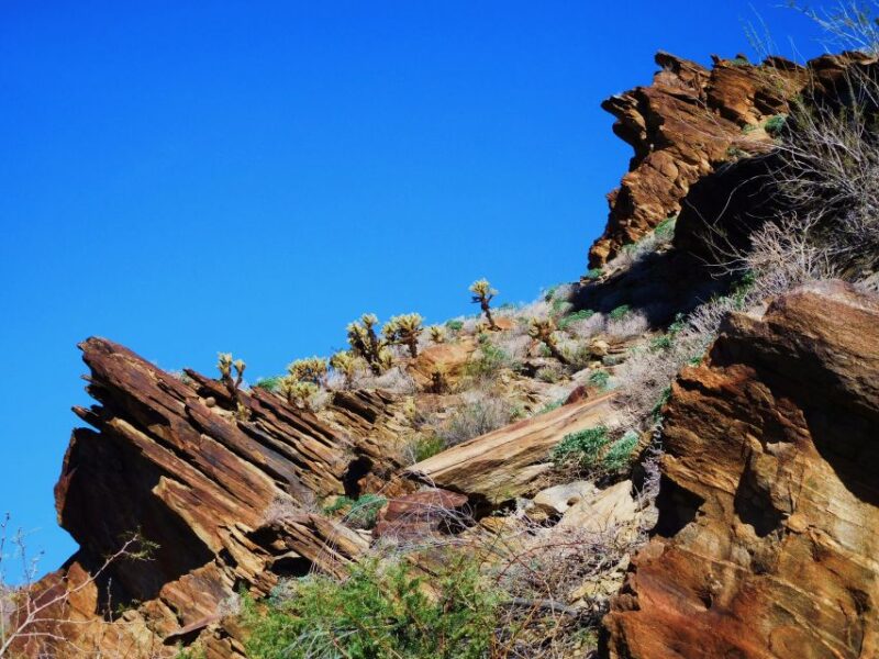 Palm Springs: Indian Canyons Jeep/Hiking Combo Tour - The Experience in Perspective