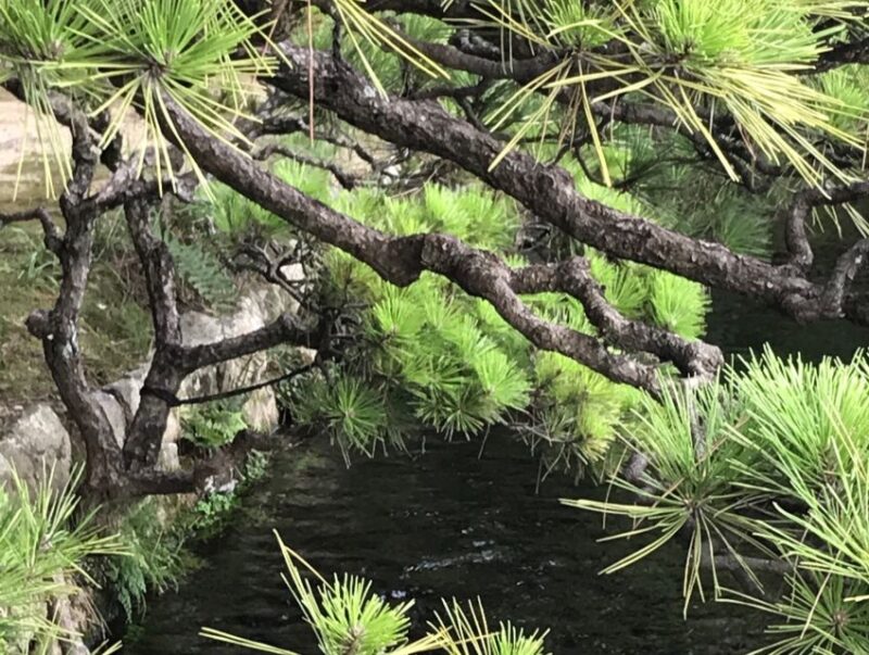 Paris Secret Gardens 1.30 hour long Walking Tour - FAQ