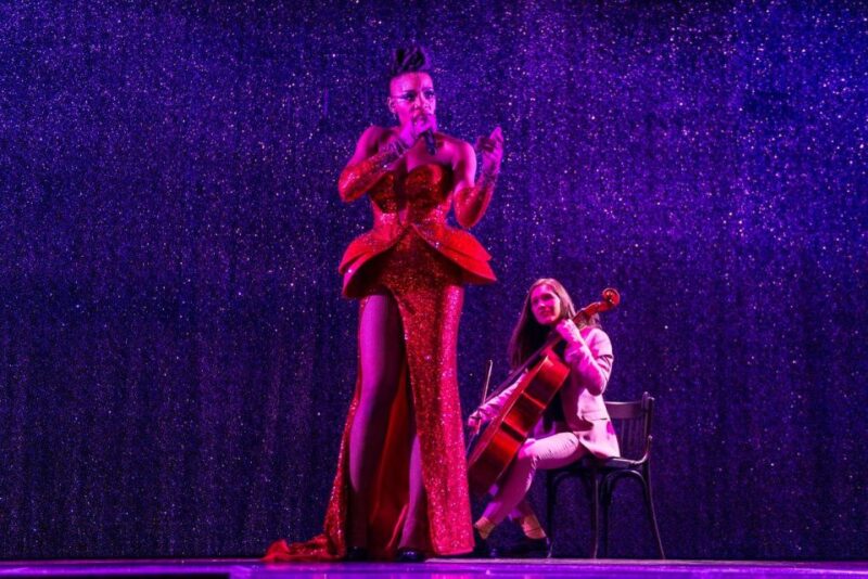 Paris: VIP Dinner and Cabaret Show at Paradis Latin - Who Should Choose This Experience?
