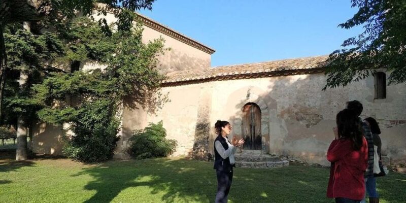 Penedes: Private Wine and Cava Tasting Tour - Who Is This Tour Best Suited For?