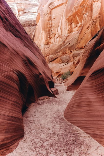 Phoenix: Grand & Antelope Canyon 2-Day Tour & Flight Option - FAQ