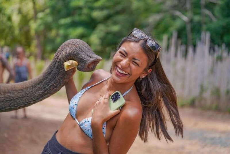 Phuket: Happy Hour Feed and Rain Shower with Elephant - Price and Value