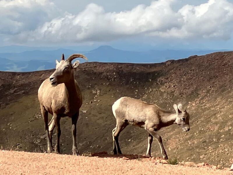 Pikes Peak Tour - The Sum Up: Who Is This Tour Best For?