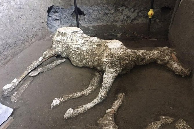 Pompeii and Herculaneum Day Tour - with Lunch from Naples - The Sum Up: Who Will Love This Tour?
