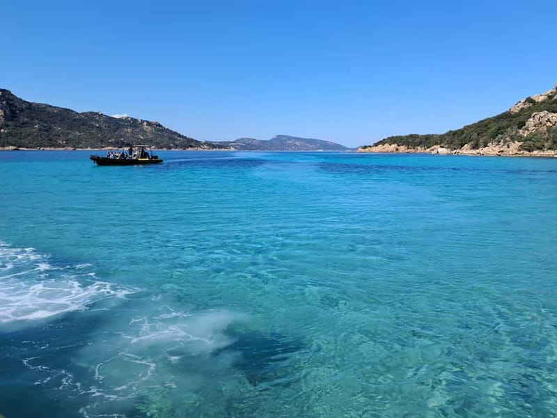 Porto-Vecchio : Discover Nature Through the Lavezzi Islands - Authentic Feedback from Participants