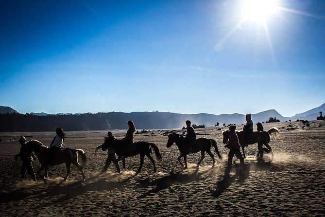 Private Bromo Sunrise Tour (All included) - Final Thoughts