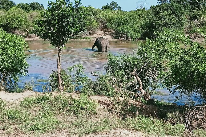 Private Day Tour in Yala National Park with Lunch - Practical Tips and Considerations