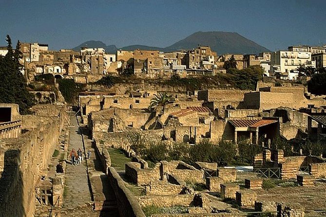 Private full day tour Herculaneum ruins Mt Vesuvio and Winery - Who Would Love This Tour?