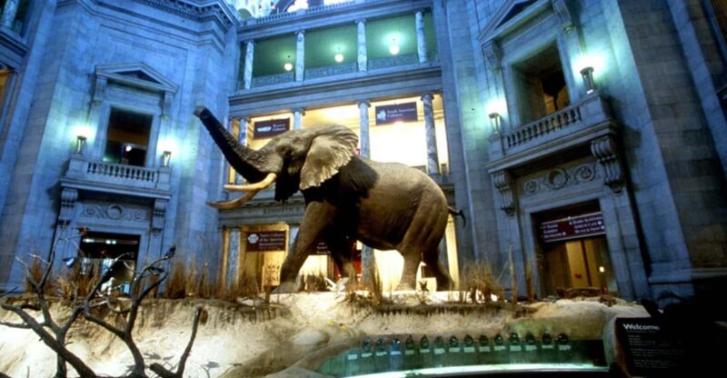 Private Guided Tour of The Natural History Museum - How Does It Compare to Self-Guided Visits?