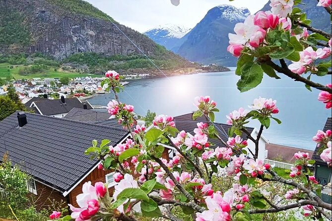 Private Guided Tour to Oslo Nærøyfjord Cruise and Flåm Railway - Final Thoughts