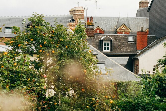 Private Guided Walking Discovery Tour of Honfleur - Final Thoughts