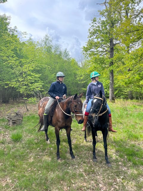 Private Horse Ride experience - Final Thoughts