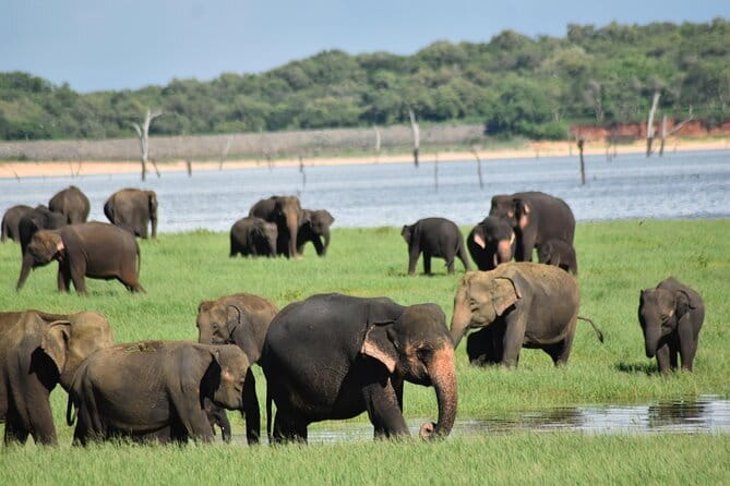 Private Jeep Safari To one of a Best National Park - Final thoughts: Who is this tour perfect for?