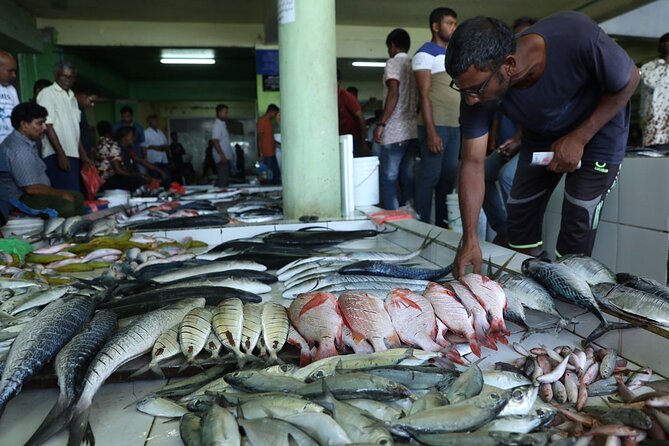 Private Male City Walking Tour with optional Vilimale tour - FAQ